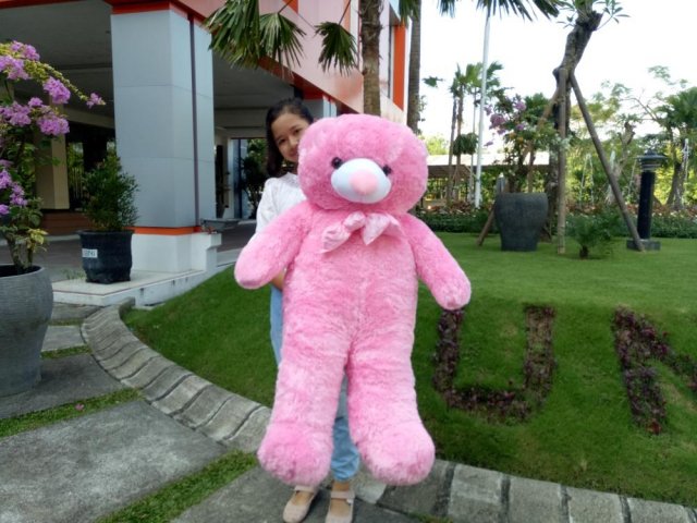 Butuh Hadiah Lucu? 10 Boneka Pink Ini Bisa Jadi Solusi!